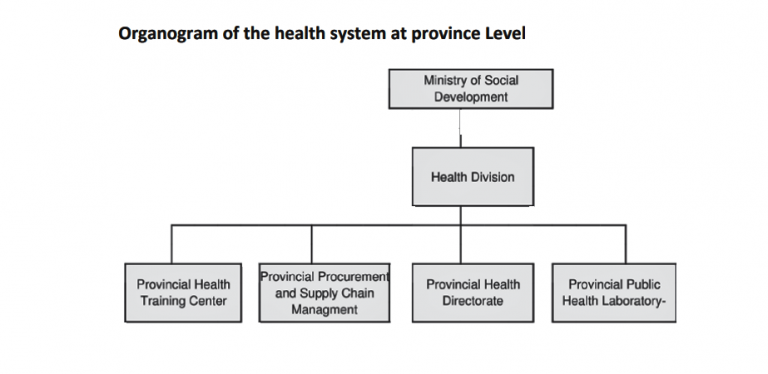 Organogram of Health System in Federal context of Nepal- Health system ...